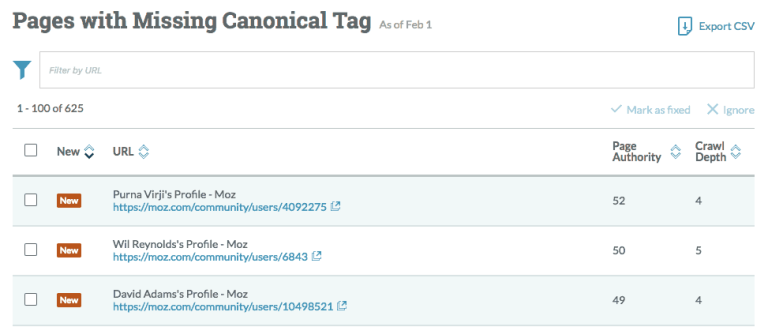 What is a Canonical Tag and How Can it Help Your SEO? | Directive